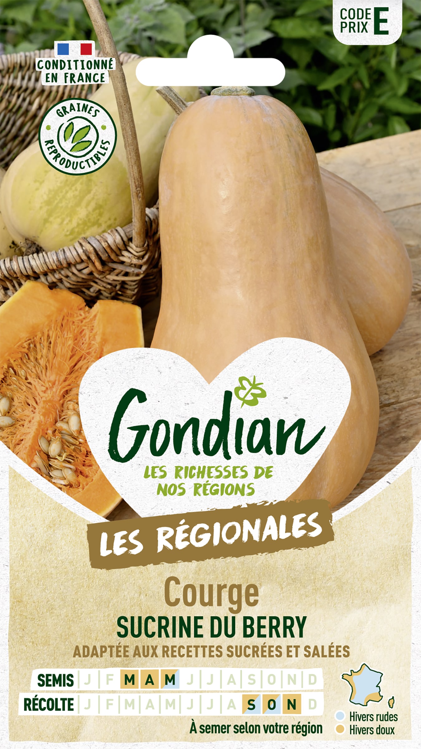 Courge sucrine du berry - Gondian